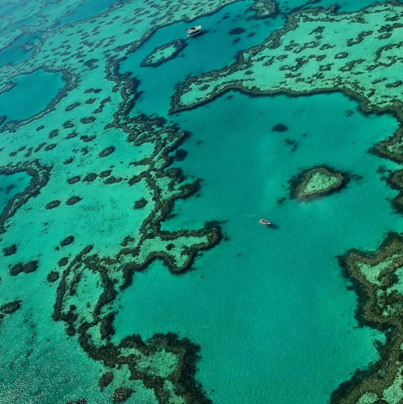 How To See The Great Barrier Reef Without Swimming?