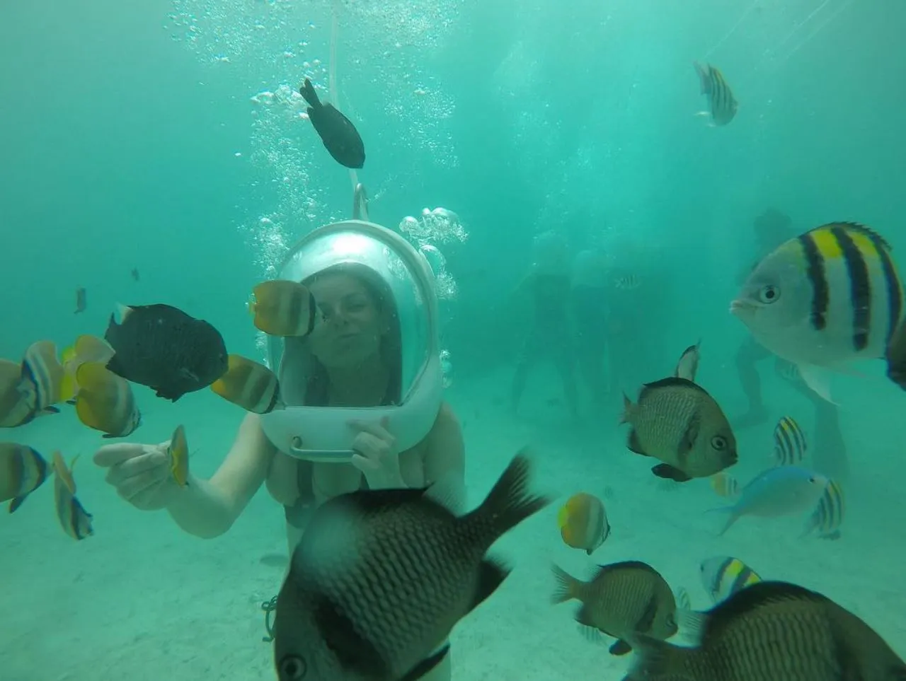 How To See The Great Barrier Reef Without Swimming?